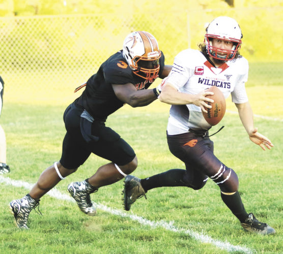 Tomahawks finish undefeated | News, Sports, Jobs - The Sentinel